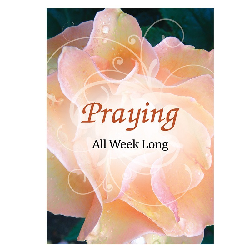 All Week Long (Set of 14 full colour leaflets)